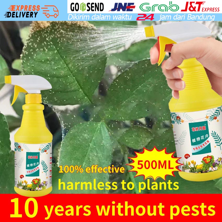 Jual Pestisida Semprot Untuk Tanaman Bunga Rumahan / Semprotan Pembasmi ...
