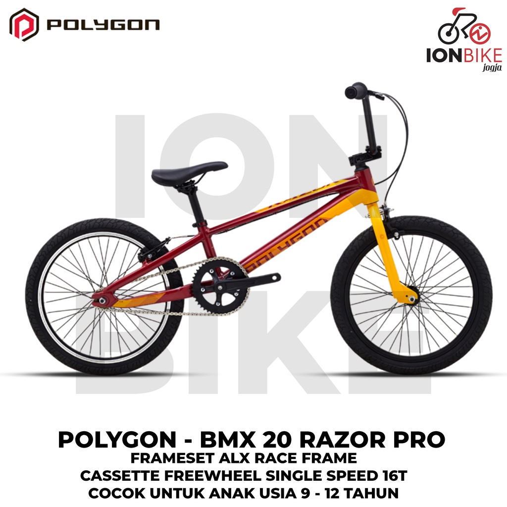 Jual Sepeda BMX 20 Inch Polygon Razor PRO Frame Alloy Ringan Terbaru ...