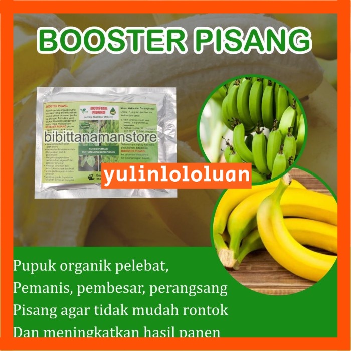 Jual Pupuk Organik Pelebat Buah dan Booster Pisang Cepat Berbuah Lebat | Shopee Indonesia