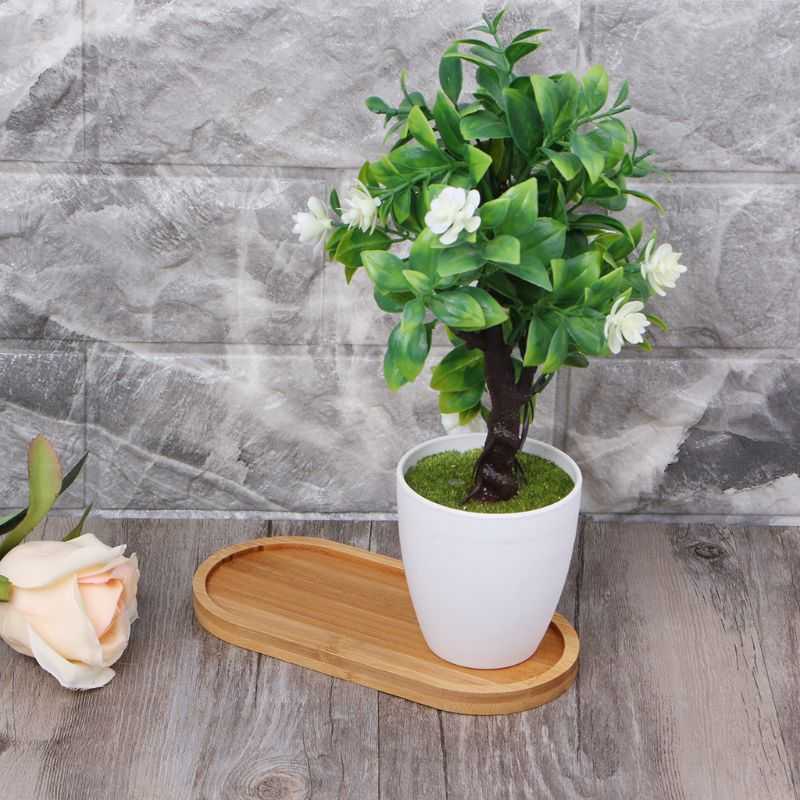 Jual Coaster Gelas Kayu Tatakan Alas Pot Bunga Mini Estetik Sukulen ...