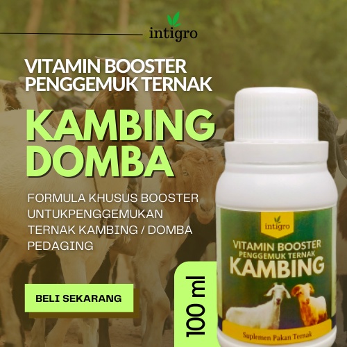 Jual *MBS* Vitamin Ternak Kambing / Vitamin Kambing Biar Gemuk Nafsu ...