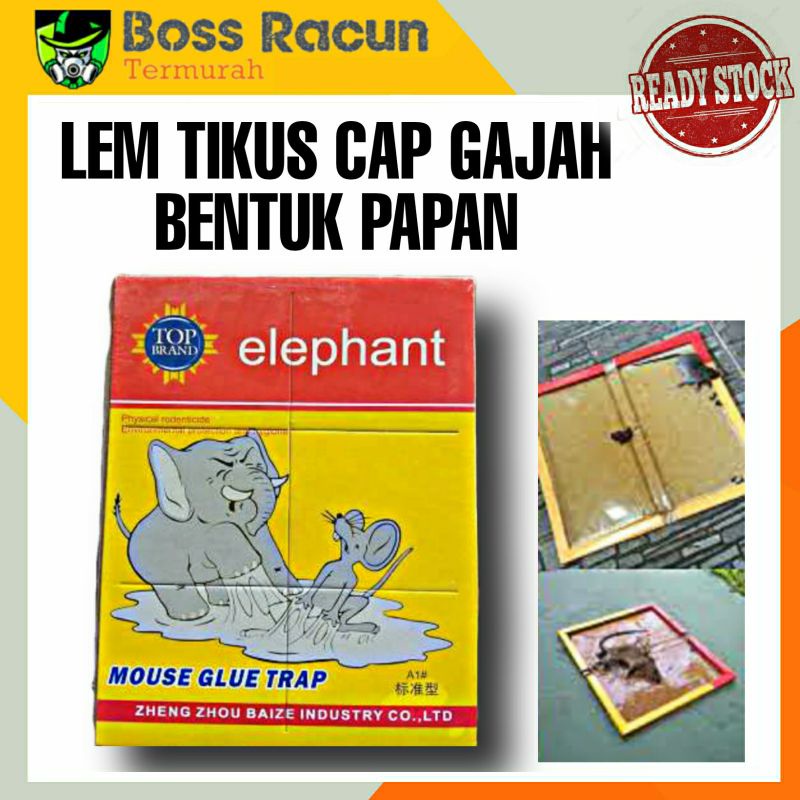 Jual lem tikus cap gajah jebakan trap papan buku impor perangkap cap ...