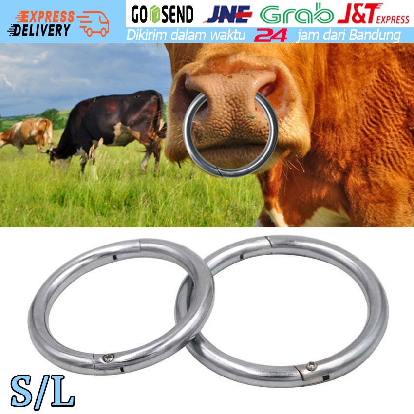 Jual Klip Bullnose / Cincin Hidung Bermuatan Pegas / Bull Ring Cincin ...