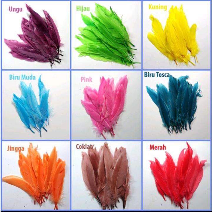 Jual Hiasan Bulu Ayam Warna-warni isi 10 pcs / Bulu ayam 10pcs Warna ...