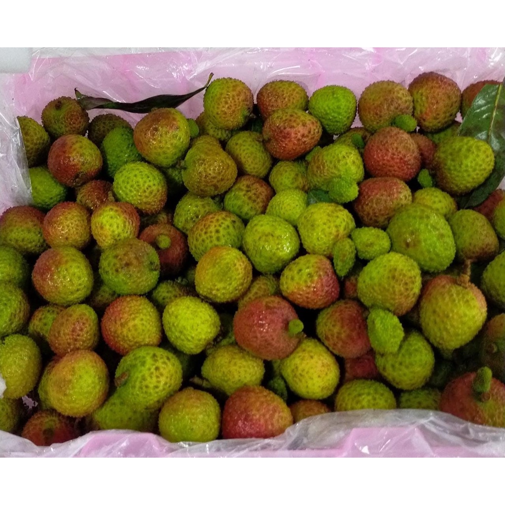 Jual Buah Lychee nomichi RRC import fresh/leci manis segar 1kg | Shopee ...
