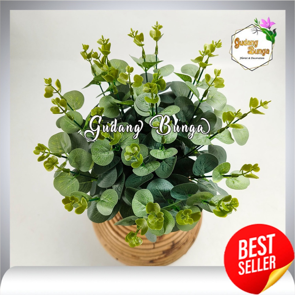 Jual Daun Dollar KW cabang 7 Tiruan Artificial Daun Ekaliptus ...