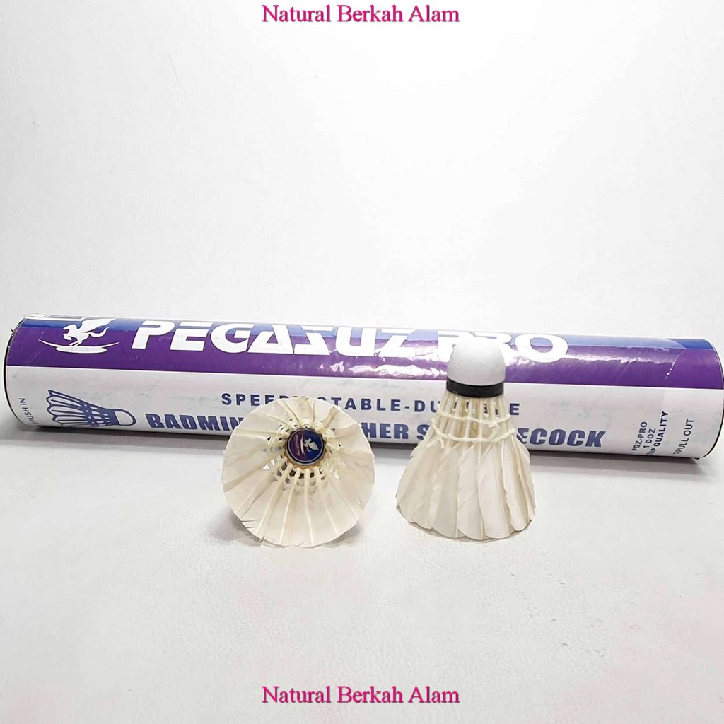 Jual Pegasuz Kok Bulutangkis 12 Pcs Kok Badminton Shuttlecock Murah ...