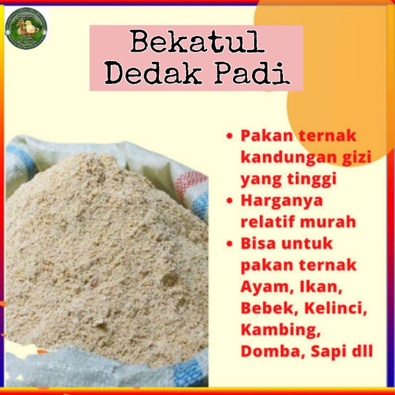 Jual JUAL BEKATUL KATUL 500 GRAM DEDAK PAKAN MAKANAN AYAM UNGGAS BEBEK ...