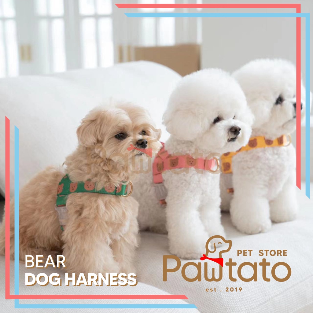Jual Tali Badan Anjing Bear Body Harness Puppy Dog Color Chest Rope ...