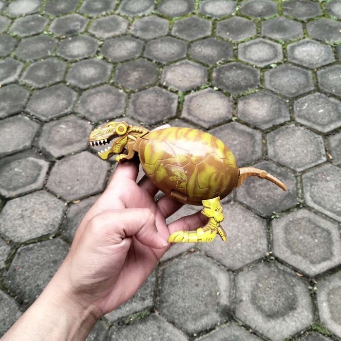 Jual Mainan Telur Transform Figure Hewan Dinosaurus T Rex 01 - Plastic ...