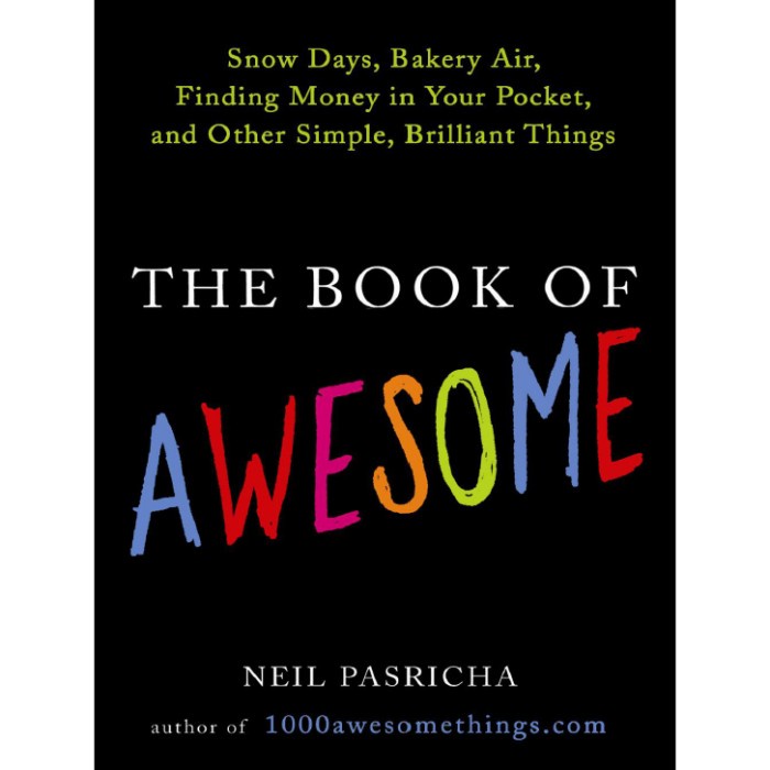 Jual Buku The Book of Awesome_ Snow Days, Bakery Air, Finding Money in ...