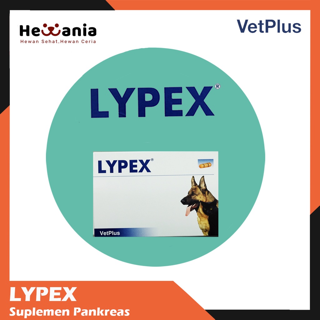Jual Lypex Vetplus Obat Diare Anjing Kucing - Kapsul Ezim Pencernaan ...