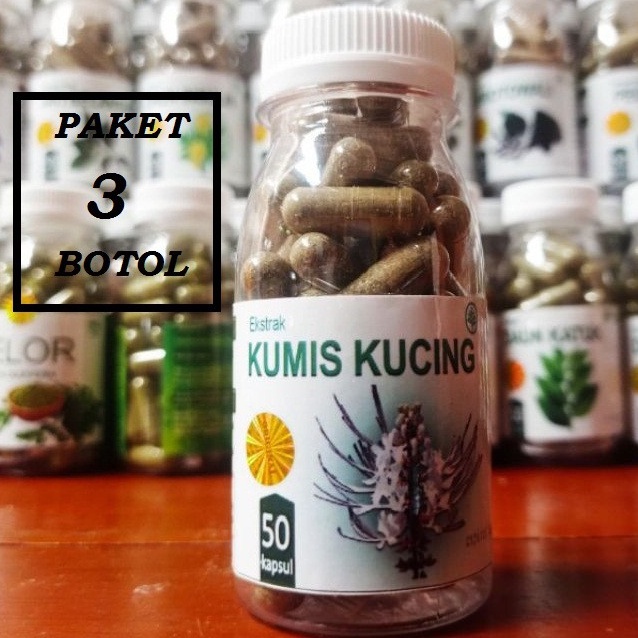 Jual KAPSUL KUMIS KUCING kapsul herbal obat batu ginjal infeksi saluran ...