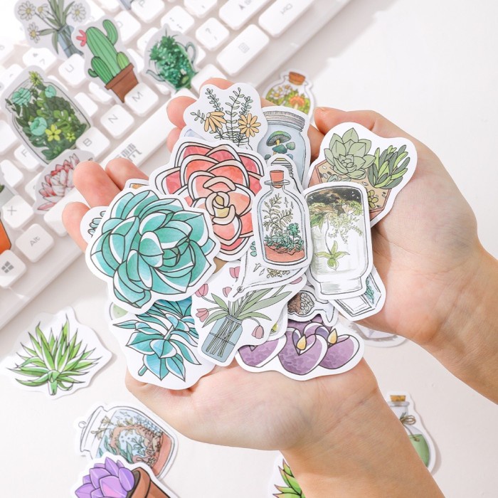 Jual Sticker Pack 50 Lembar Tanaman Cactus Stiker Dekorasi Deco Sticker ...