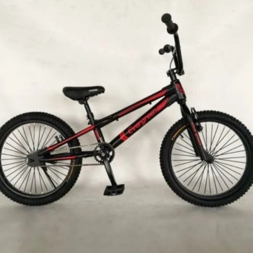Jual Sepeda bmx anak 20 inc rem torpedo evergreen velg alloy usia 7 ...
