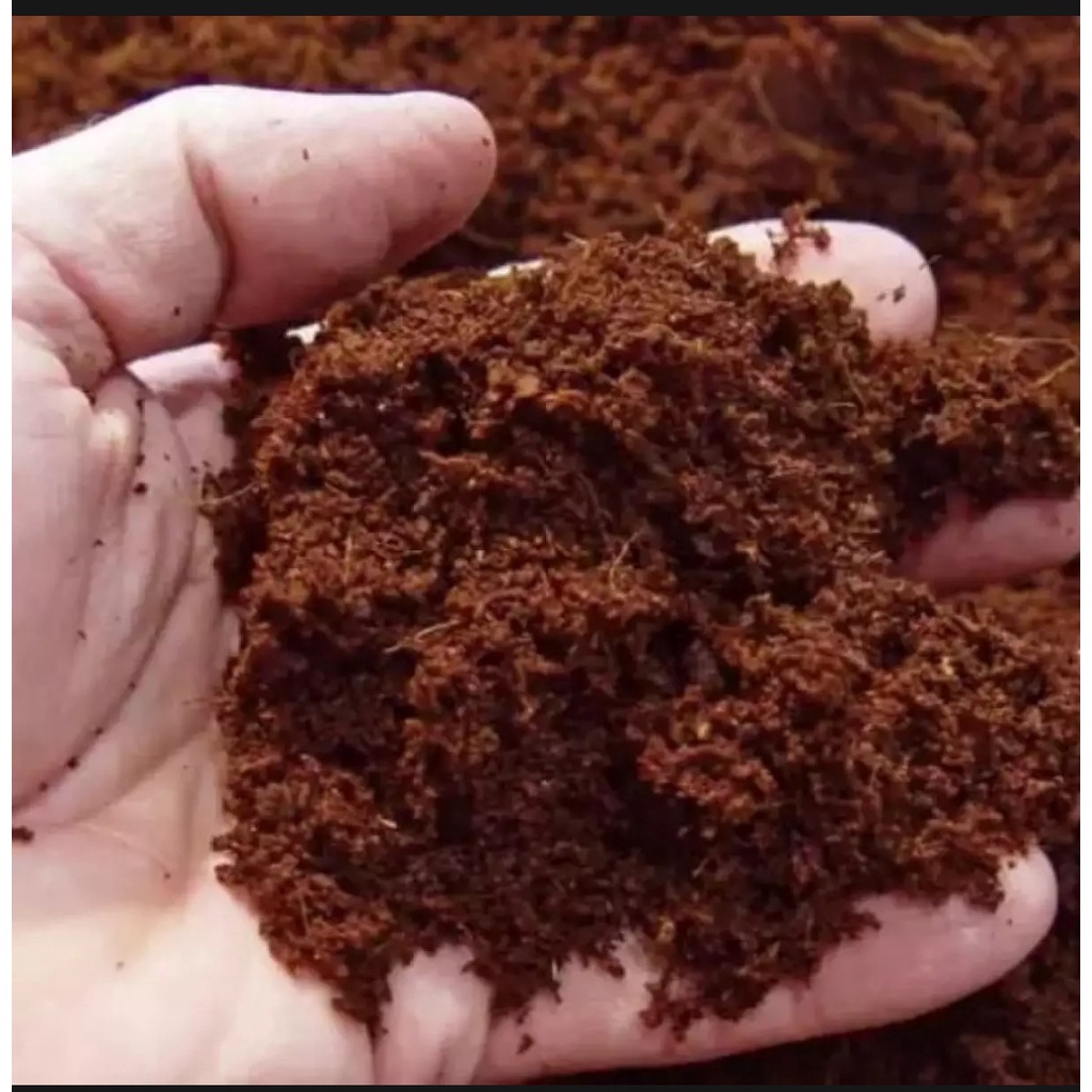 Jual Media tanam cocopet 5 kg / cocopeat sudah bebas zat tanin | Shopee ...