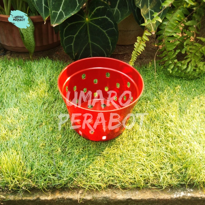 Jual Pot Lubang Banyak Ukuran 15 Warna Merah Bata / Pot Bolong Bolong ...