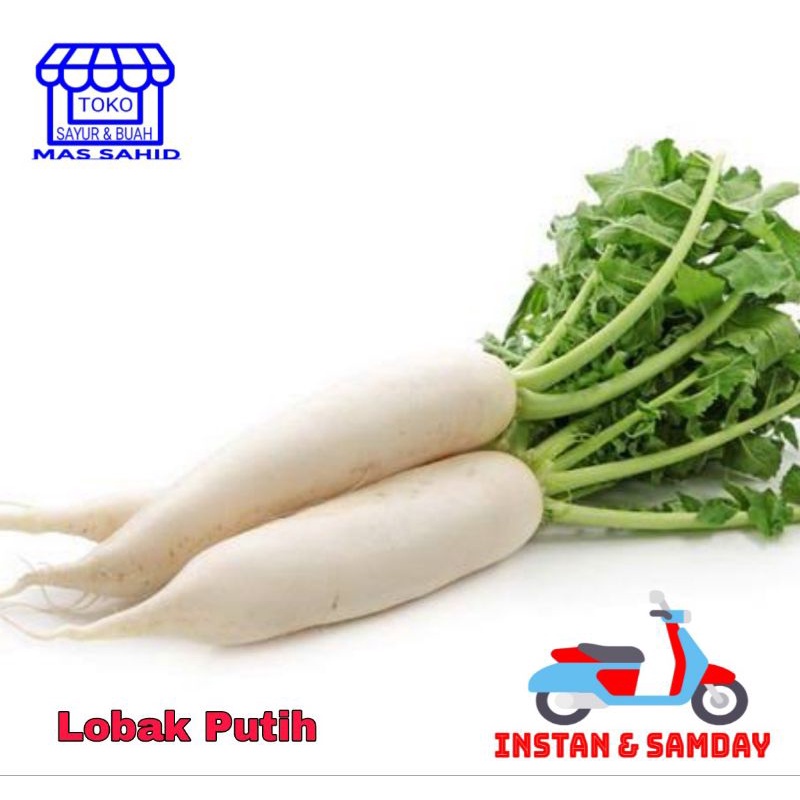 Jual INSTAN Lobak Putih 1 kg | Shopee Indonesia