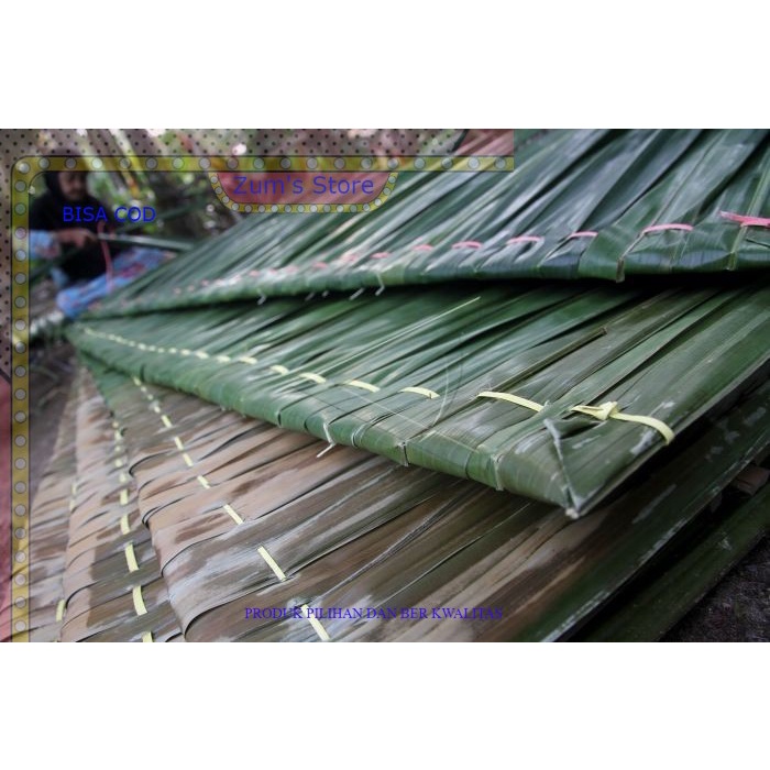 Jual ATAP DAHON NATURAL/ RUMBIA / GAZEBO PER 1 IKAT | Shopee Indonesia
