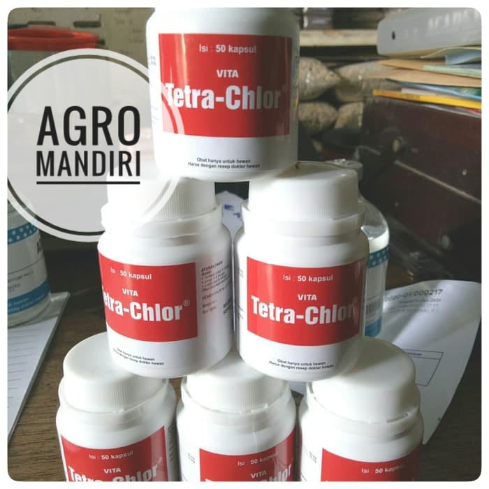 Jual Erythromycin Obat Terlengkap & Harga Terbaru Juni 2026 | Shopee ...