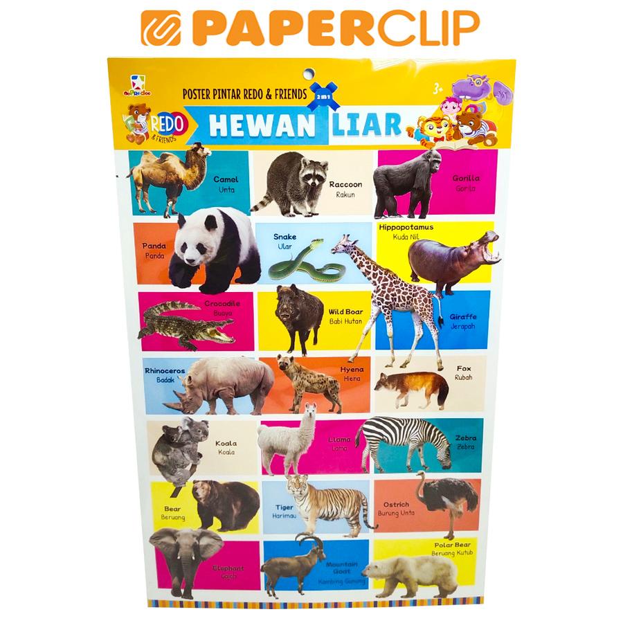 Jual POSTER PINTAR 2 IN 1 OOPREDOO : HEWAN LIAR & HEWAN TERNAK | Shopee ...