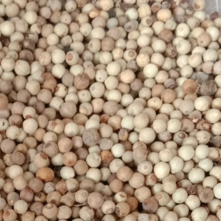 Jual Lada Putih Butir | Berat 0,5 Ons / 50 gram | Merica Bulat Utuh ...