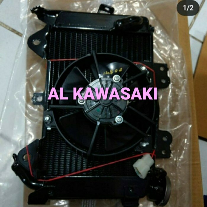 Jual radiator assy set kawasaki bajaj pulsar ns200 ns 200 original ...