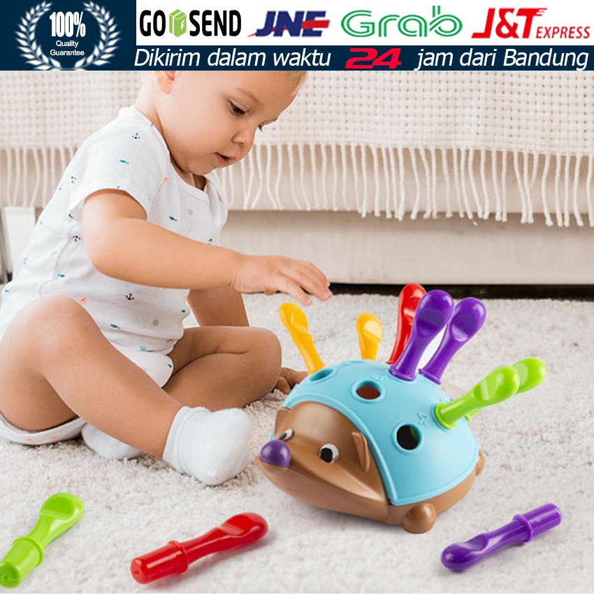 Jual Hedgehog Match Puzzle Plug / Baby Motoric Toy / Mainan Motorik ...