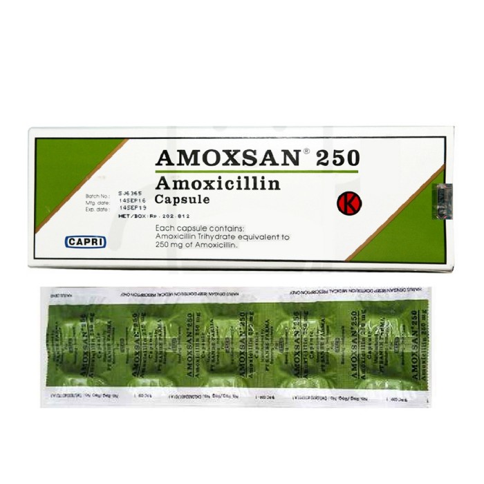Jual AMOXSAN 500MG 1 STRIP 10 CAPSUL | Shopee Indonesia
