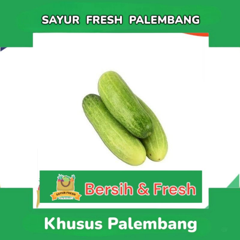 Jual Timun Kecil / Baby Timun / Timun Jakarta 90Gram-100Gram - Sayur ...