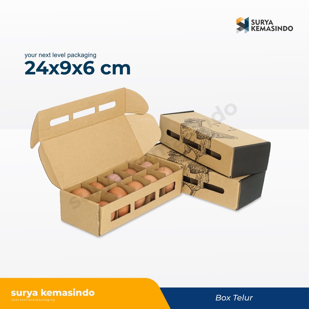 Jual Box Telur isi 10 (24x9x6)+Sekat Box/kardus/Telur/Endok/Endog ...