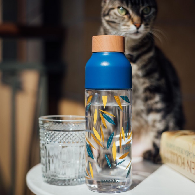Jual Botol Air Quokka Ecozen Bottle Ice 720ml / Botol Minum Anak ...