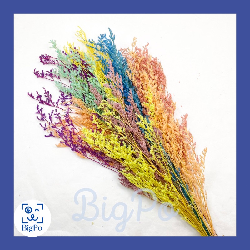 Jual 50 gr Preserved Bleach Caspea Lover Grass / Dried Flower Awetan ...