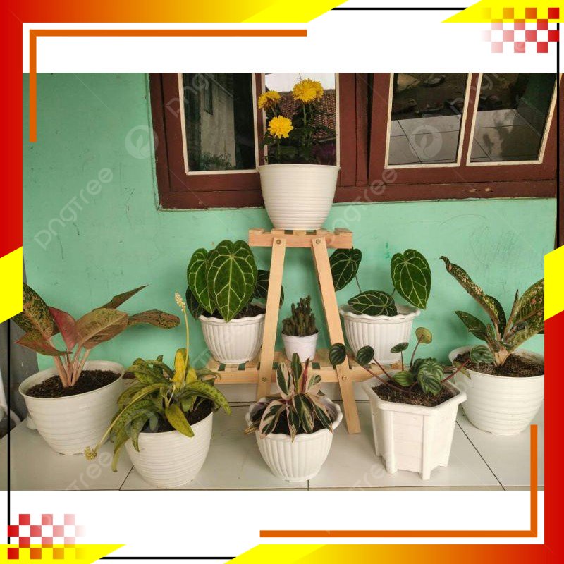 Jual BERAT 1KG ! Rak bunga kayu halus minimalis pilihan/Rak bunga ...