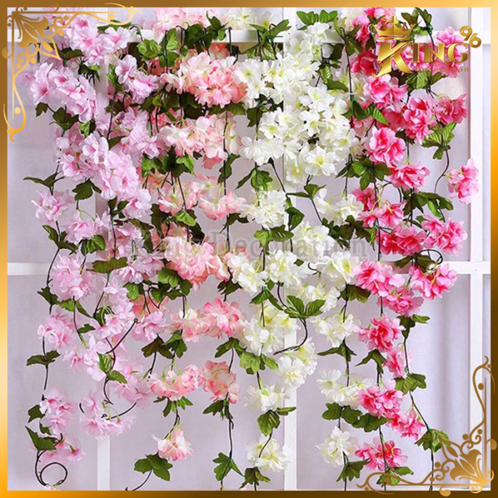 Jual Bunga Rambat Juntai Garlan Cherry Blossom - Bunga Cherry Blossom ...
