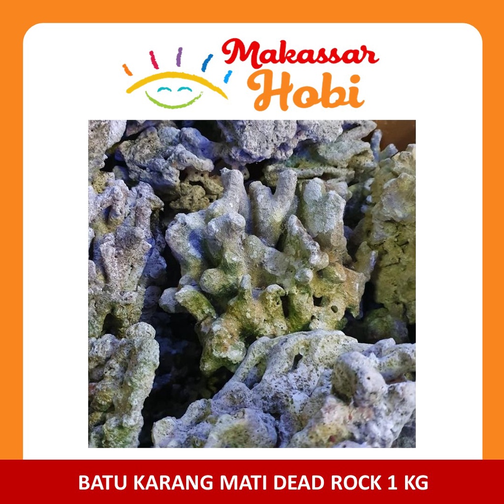 Jual Batu Karang Mati Dead Rock 1kg 1 kg Hiasan Aquarium Air Laut ...