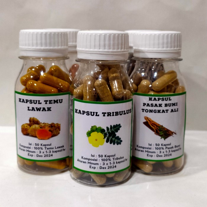 Jual Herbal Penambah Testosteron,Kapsul Tribulus Asli Alami Berkhasiat ...