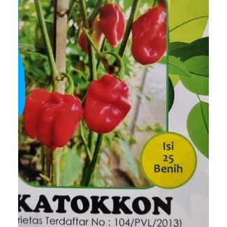 Jual isi 25 Biji Benih Cabai KATOKKON -repacking | Shopee Indonesia