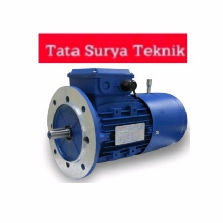 Jual Brake Motor Yuema YBD 4P 0.18kw 0.25hp 3Phase B5 Best Quality ...