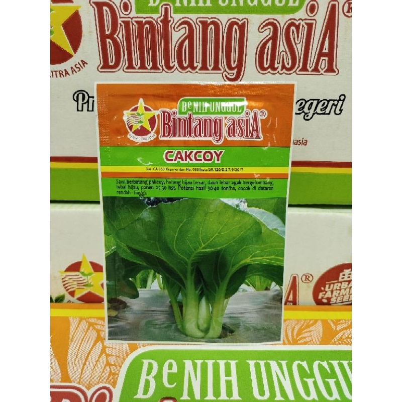 Jual Benih Sawi Hijau CAKCOY 10 Gram Bintang Asia Batang Hijau Besar ...