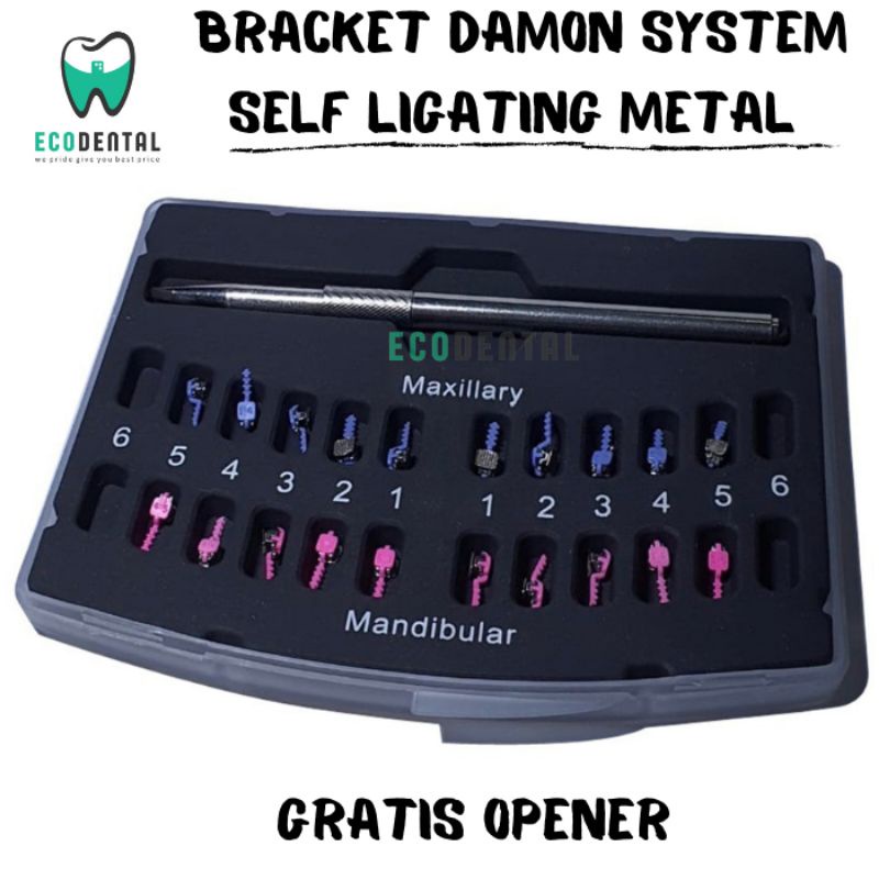 Jual Behel Damon Bracket Damon System Self Ligating Behel Damond ...