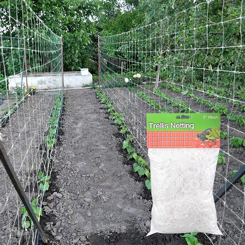 Jual Jaring Tanaman Rambat Plants Climbing Net Polyester 1.67x10M ...