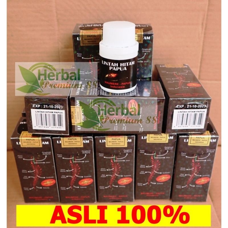 Jual Promo Minyak Lintah Hitam Papua 100% Original ADA LABEL HOLOGRAM ...