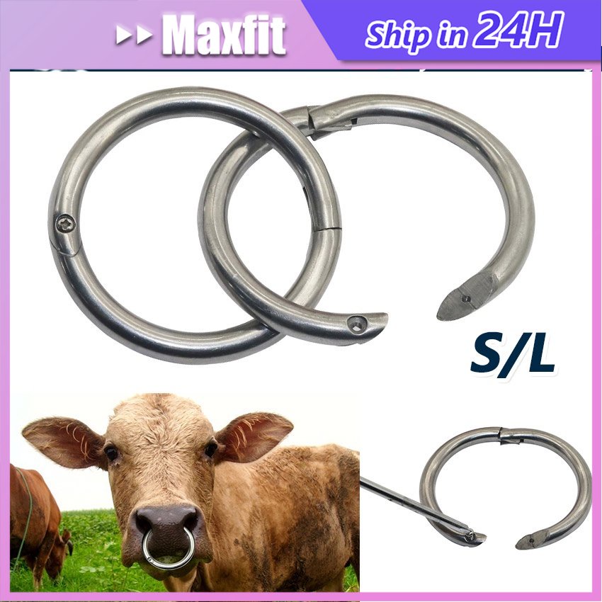 Jual Stainless Steel Ring Cincin Hidung Sapi Bull Ring Cincin Anting ...