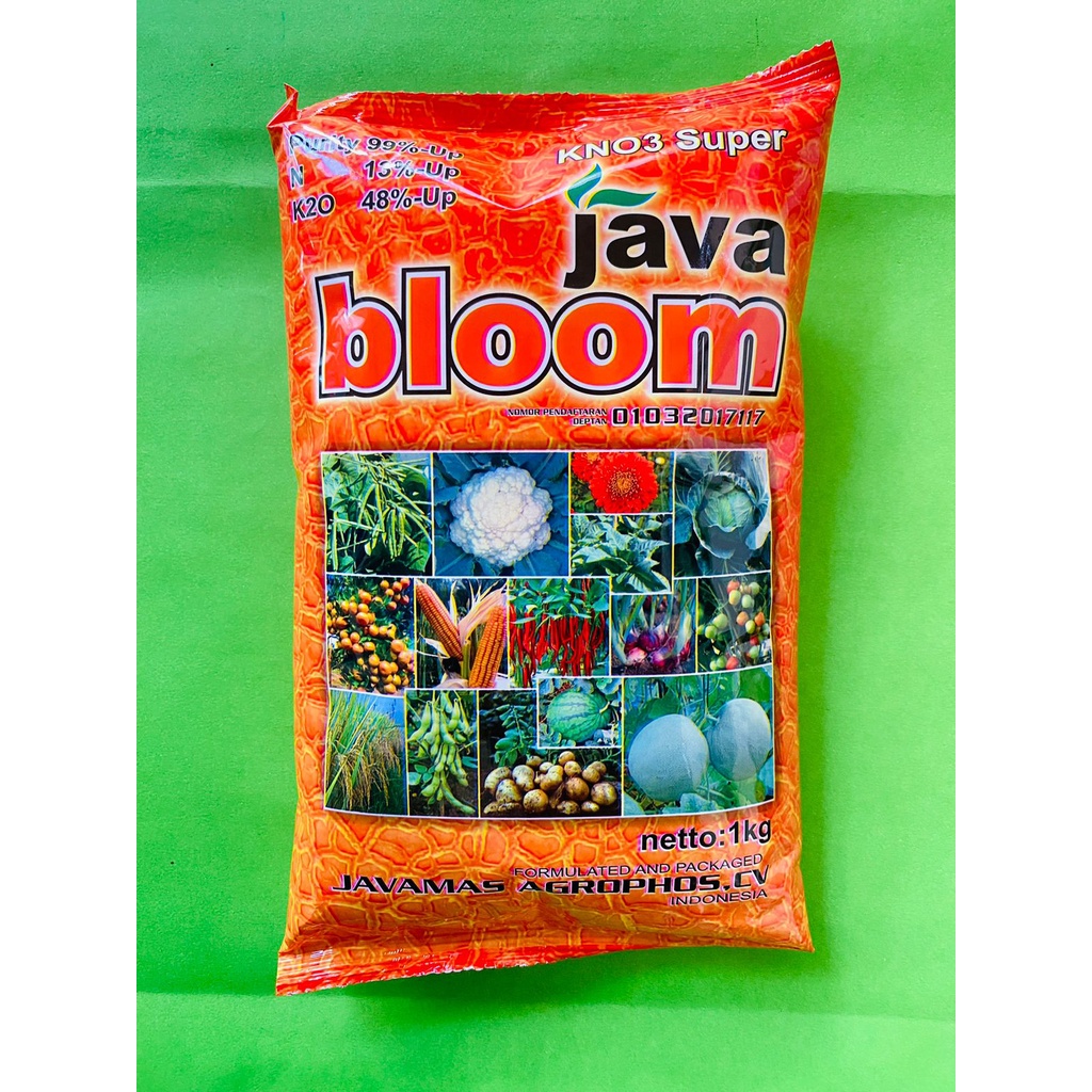 Jual Terbaik!! Pupuk kno3 super JAVA BLOOM isi 1kg dari JAVAMAS AGROPHOS | Shopee Indonesia