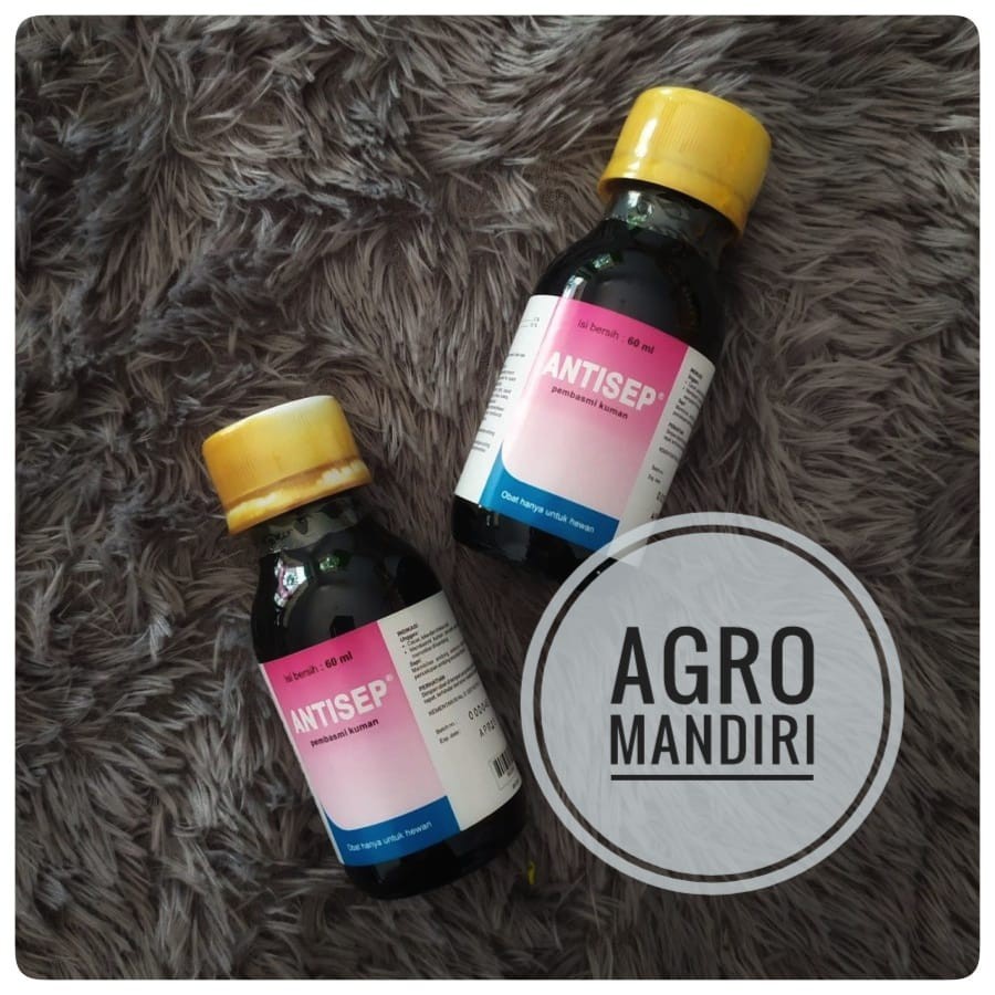 Jual Antisep 60 ml Disinfektan & Obat Luka Cacar Kulit Ayam Unggas Sapi ...