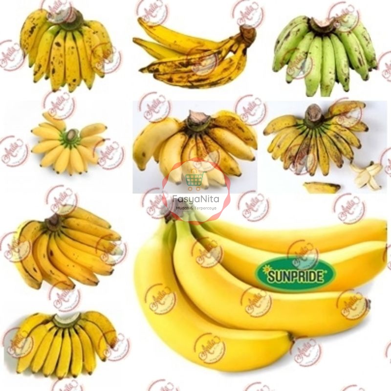 Jual Pisang | Sunpride Kepok Gepok Tanduk Susu Ambon Raja Mas Uli ...