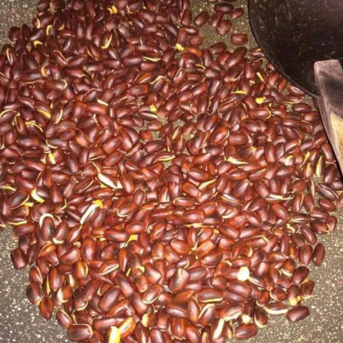 Jual Biji Benih Pohon Trembesi Keduh/benih bibit/benih biji khualitas ...