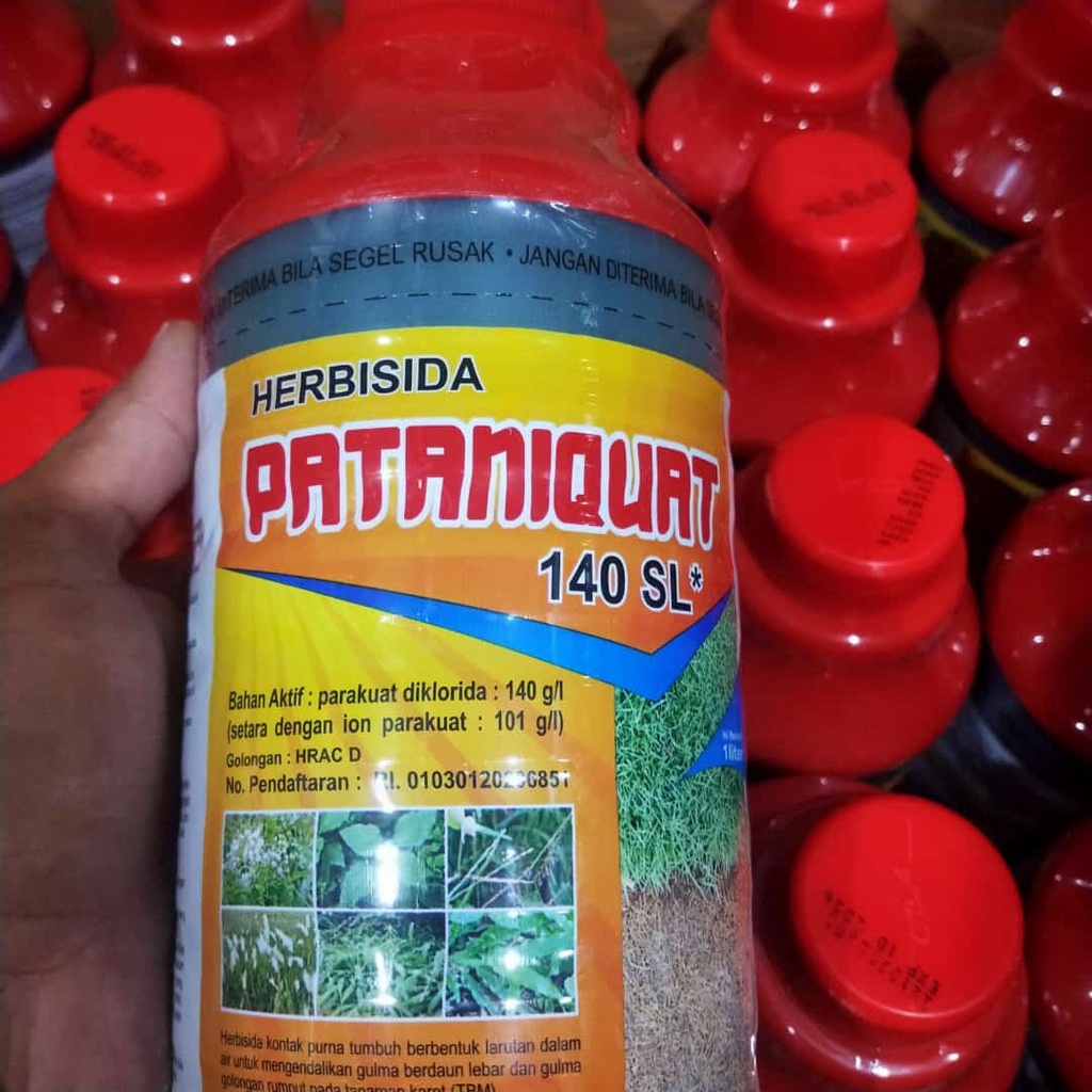 Jual PATANIQUAT HERBISIDA PEMBASMI RUMPUT CEPAT KERING 1 LITER | Shopee ...