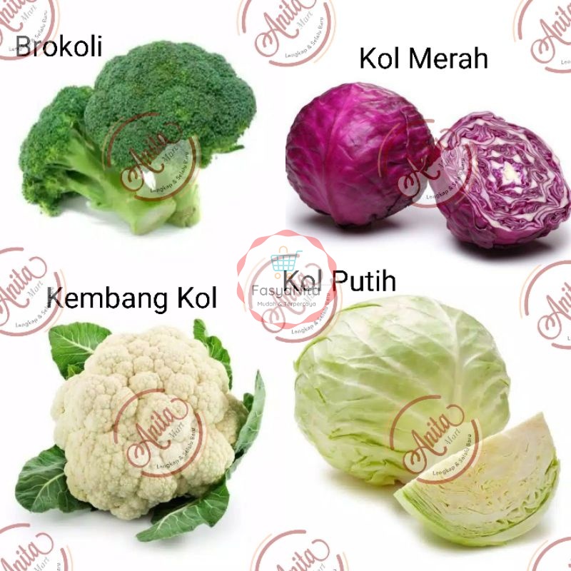 Jual Sayur Kol - Brokoli Kembang Kol Kubis Putih Merah baby mini Fresh ...